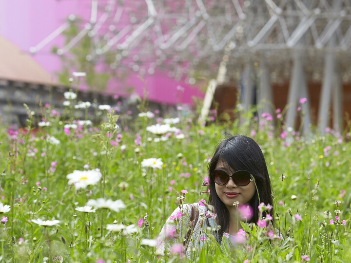 BDP - New London Architecture